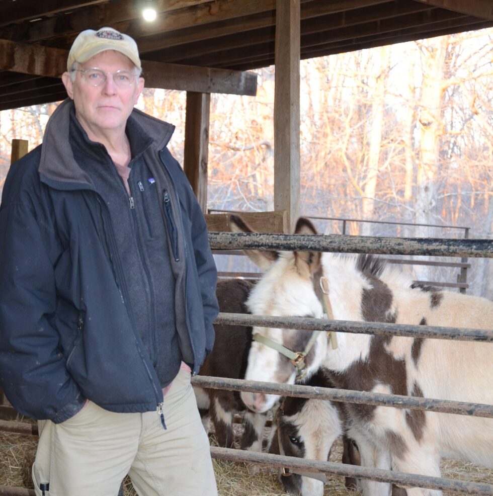 Fact vs. Fiction on Solar Land Use: Interview with Tom Terrell ...
